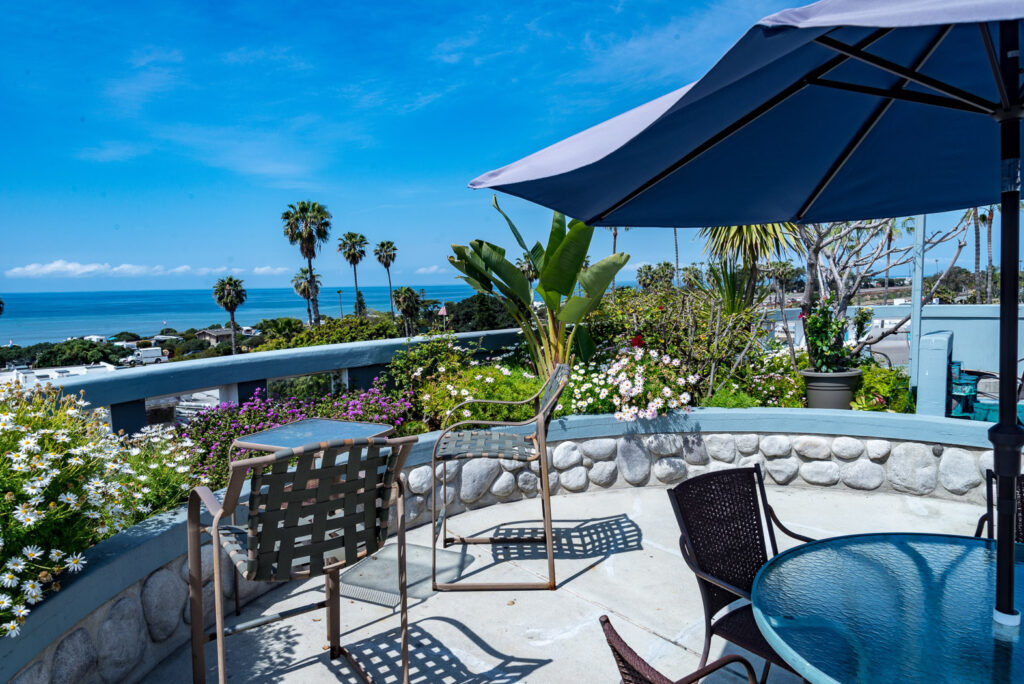 Visit Encinitas CA - Discover the Coastal Charm of Encinitas