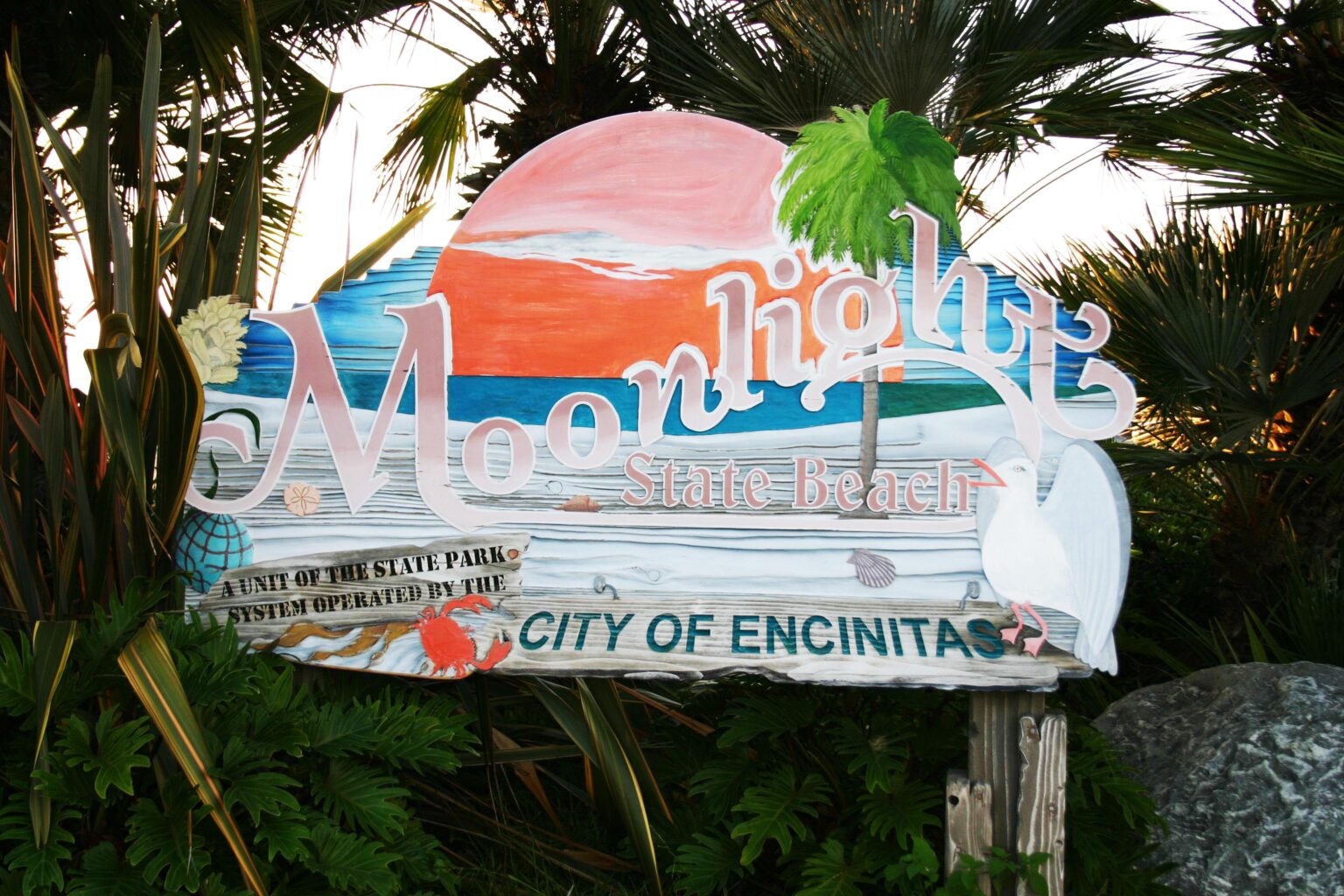 Moonlight State Beach - Visit Encinitas CA - Discover the Coastal Charm ... Moonlight State Beach - Visit Encinitas CA - Discover the Coastal Charm ...