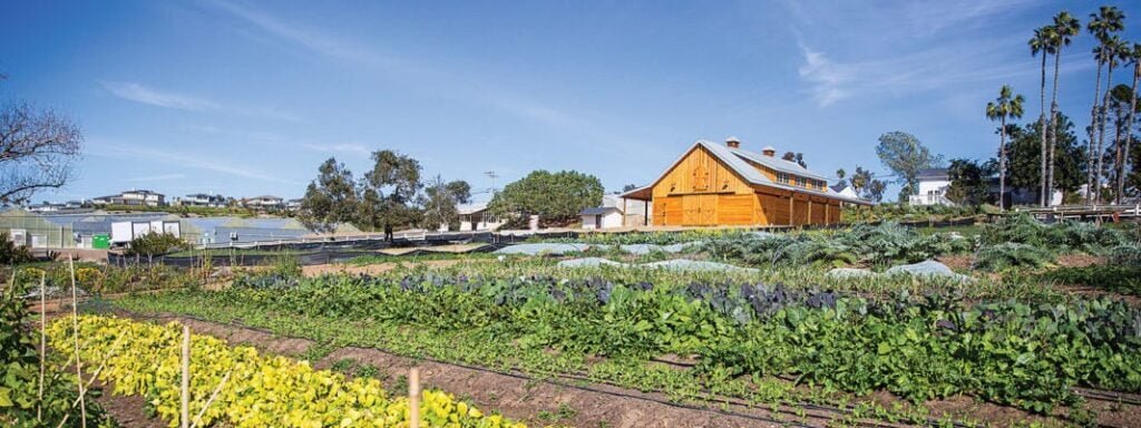 Coastal Roots Farm - Visit Encinitas CA - Discover the Coastal Charm of ...