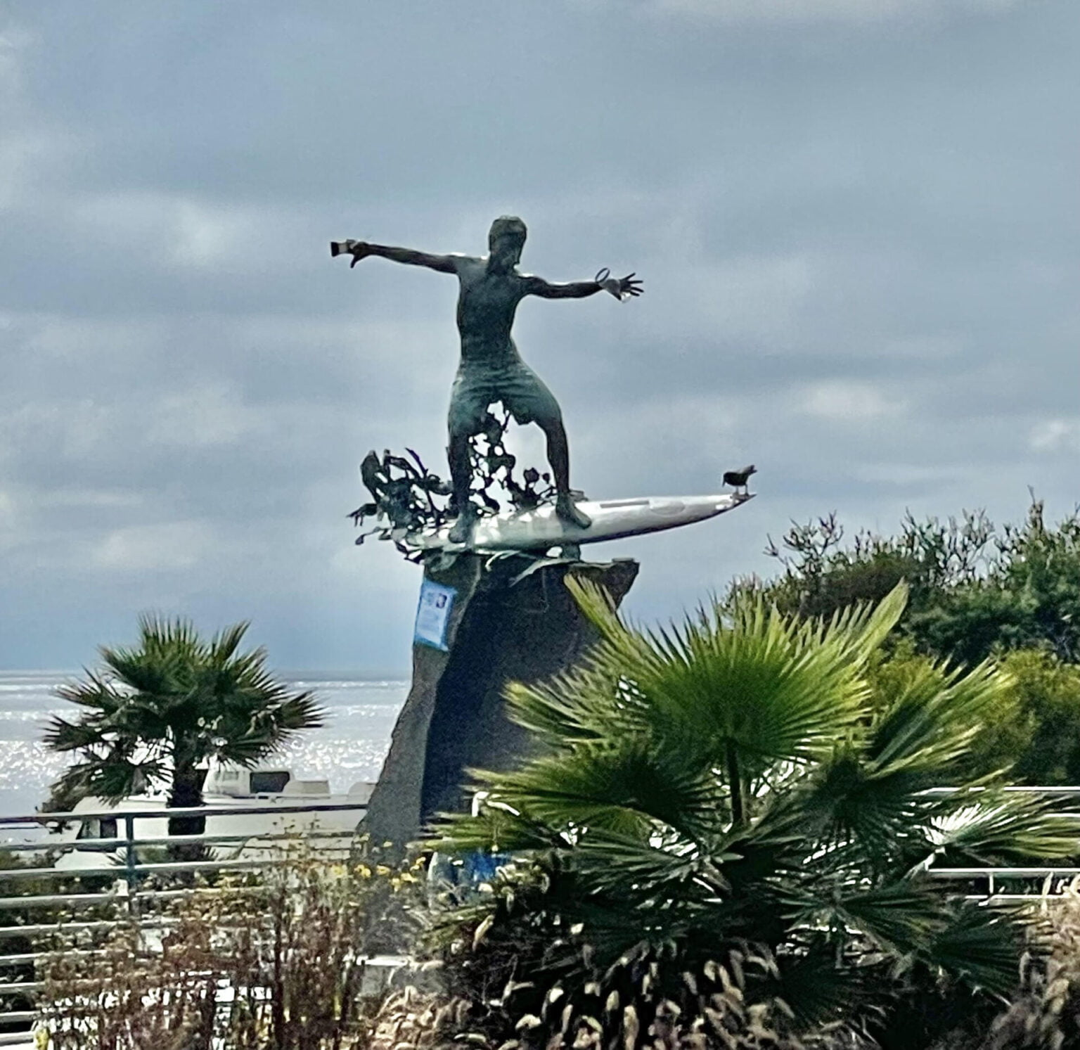Cardiff Kook - Visit Encinitas CA - Discover the Coastal Charm of Encinitas